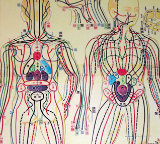 Treatments- Nature Care College - Sydney